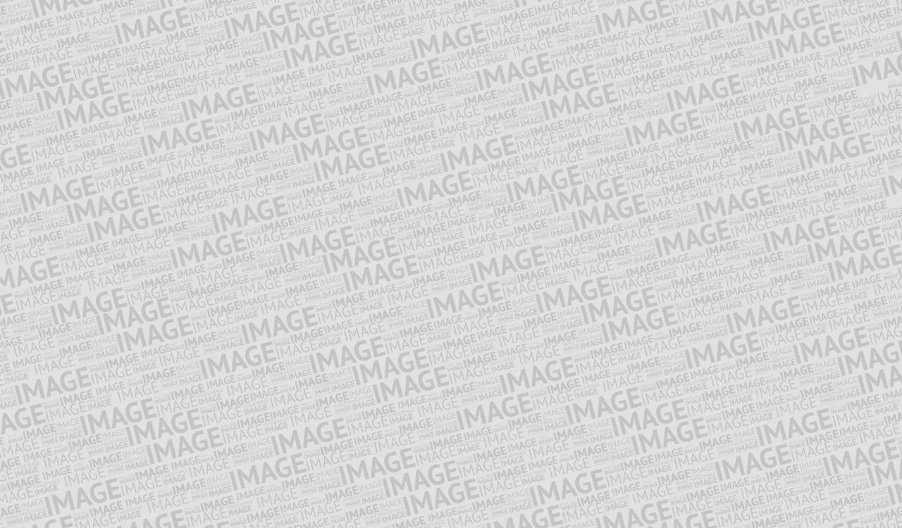 ZFB100 brake disc. - Crane Aid